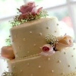 Home - Mazzotta's Bakery & Catering